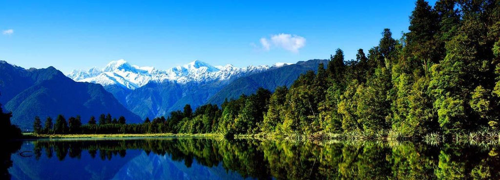 BioLet Composting Toilets - Advanced waterless toilet solutions